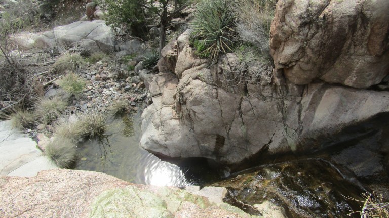 Cedar Bench Wilderness – Preserving Arizona Wilderness